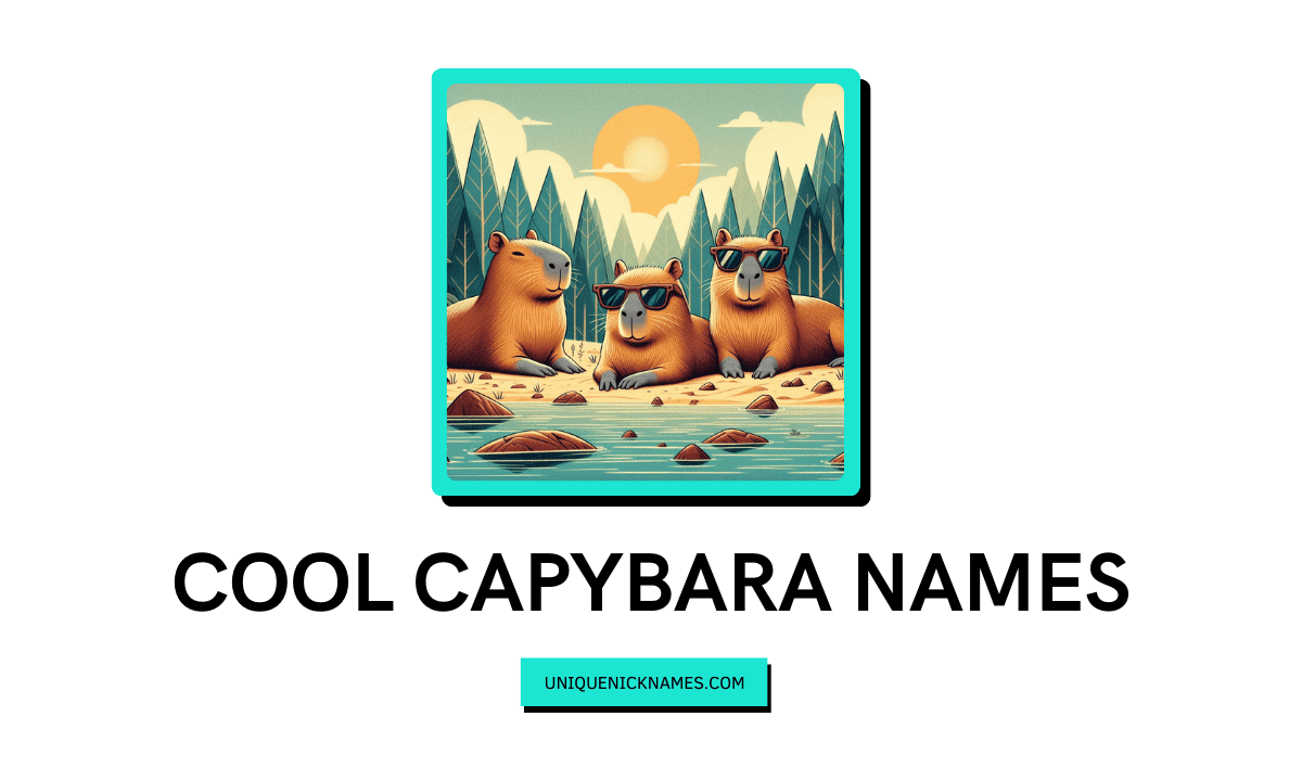 300 Cute Funny Capybara Names Unique 