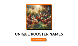510+ Cute & Funny Chicken Names (Unique)